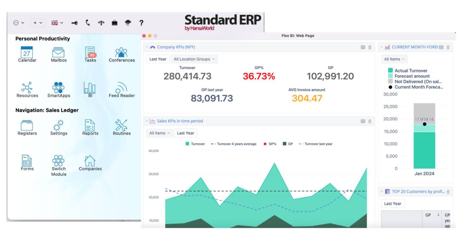 STandard ERP – flex.bi